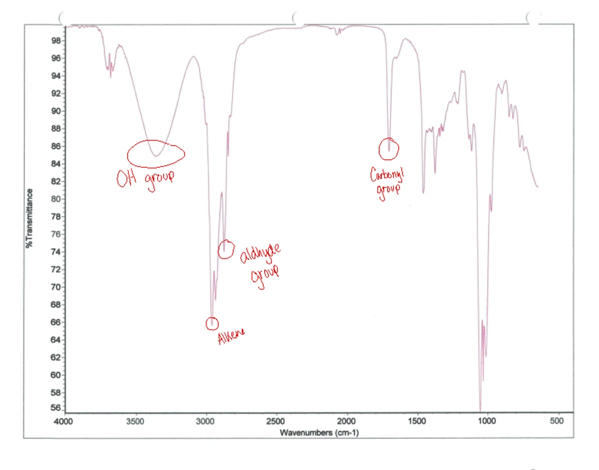 IR Spectroscopy Guide: Understanding Functional Groups & Absorptions ...