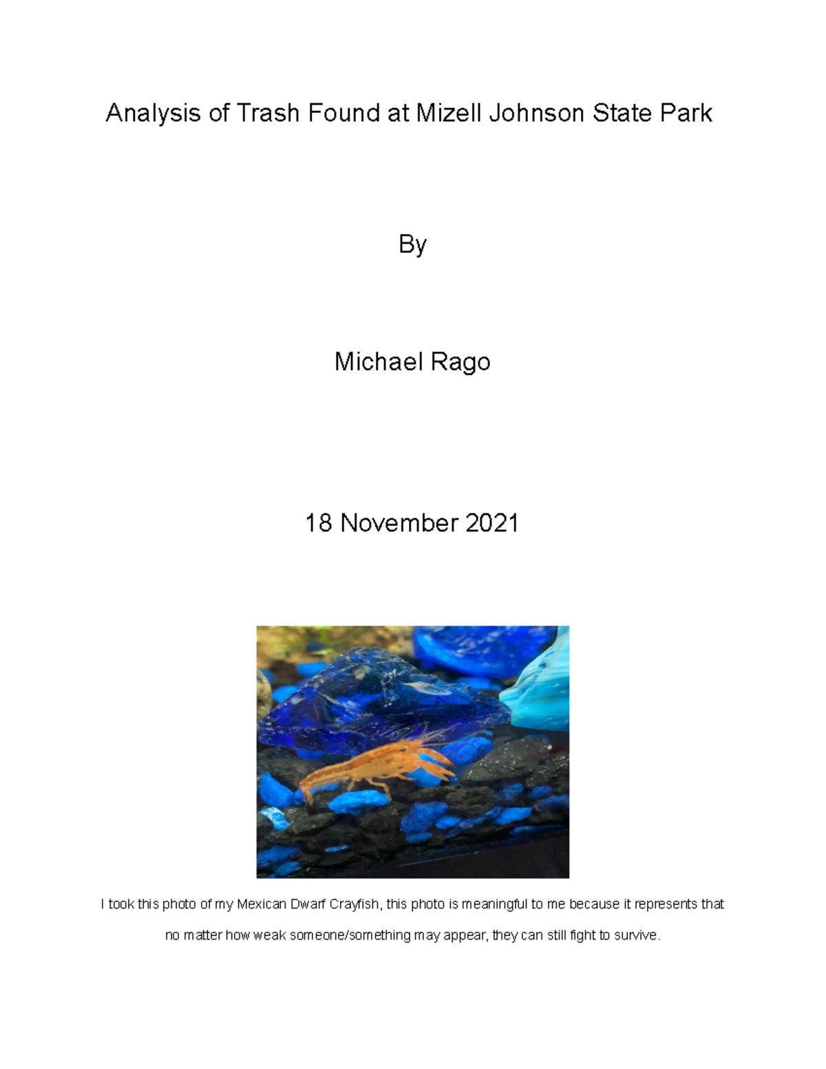 Analytical Report #2 - Analysis of Trash Found at Mizell Johnson State ...