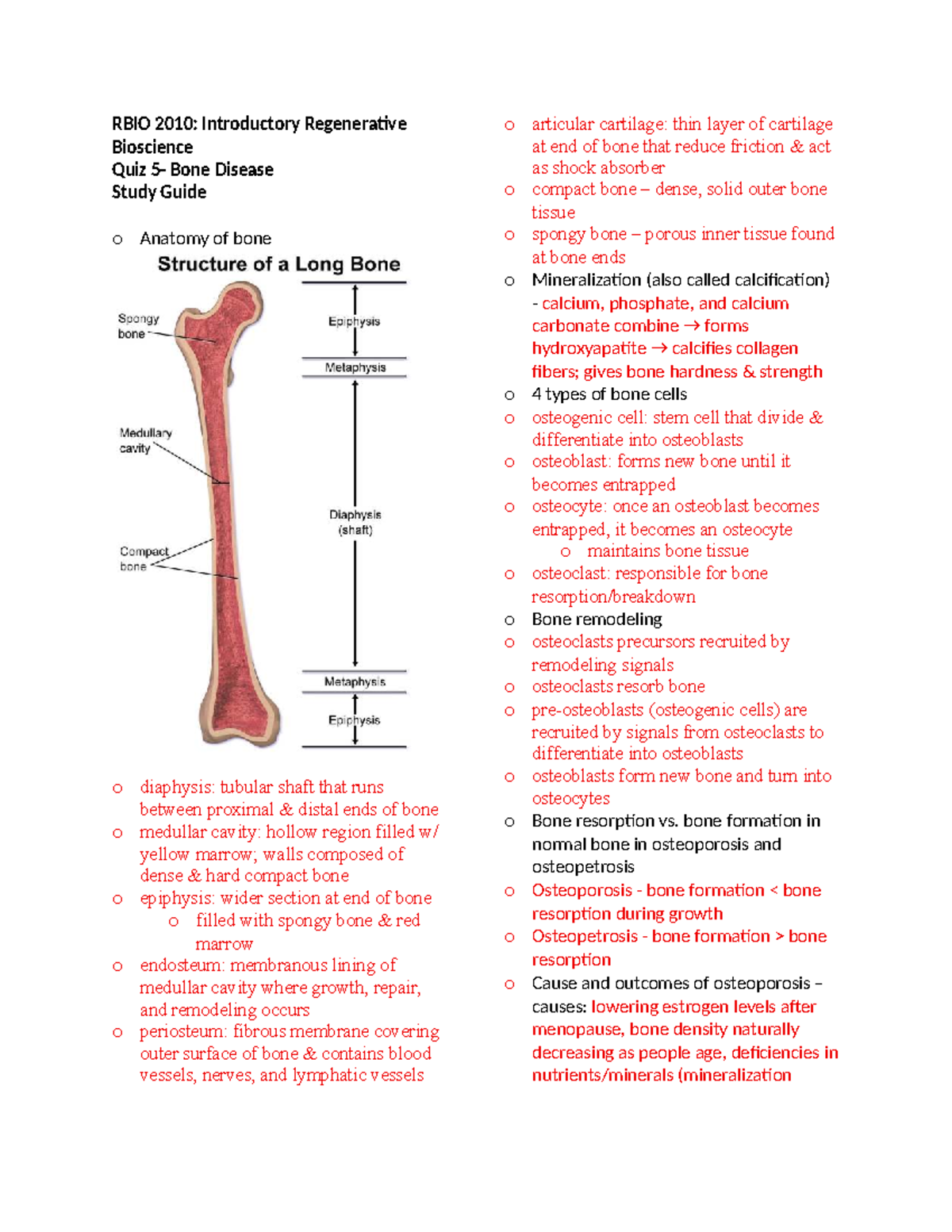 RBIO 2010: Quiz Study Guide on Bone Disease and Regenerative Bioscience ...
