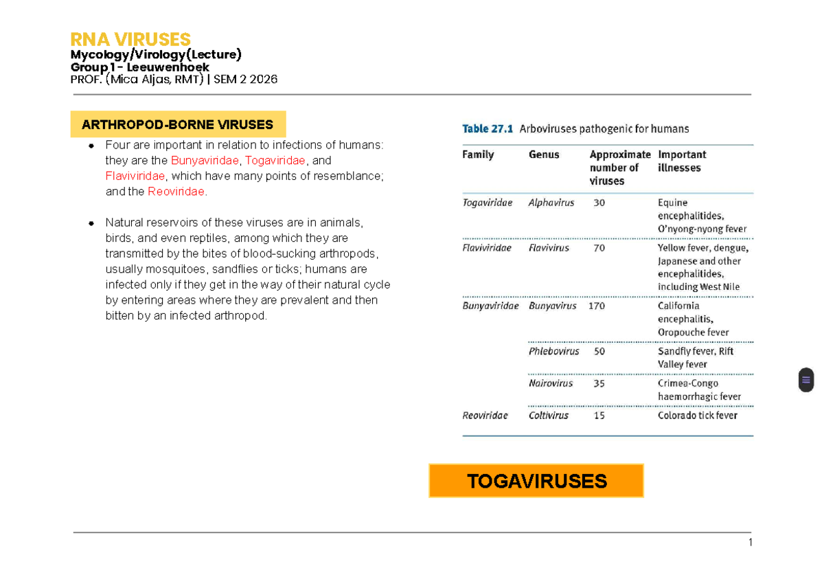 RNA Viruses Overview - Group 1 (Leeuwenhoek, Prof. Mica Aljas, RMT) SEM ...