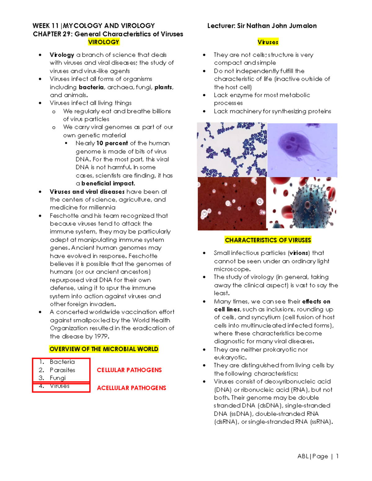 CH29: Key Characteristics & Taxonomy of Viruses in Virology - Studocu