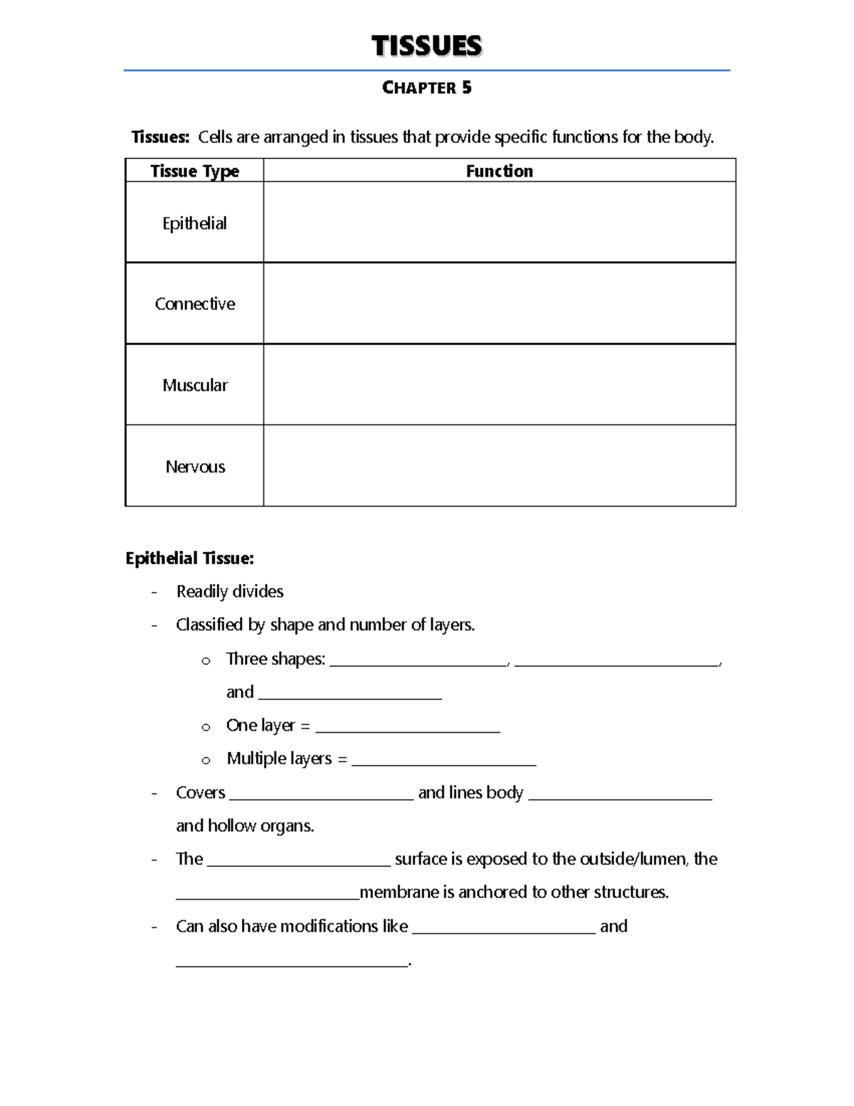 TISSUES CH5: Functions and Types in Human Anatomy - Studocu