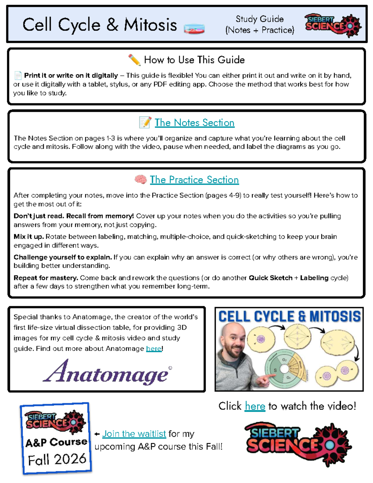 Cell Cycle Mitosis Study Guide (Notes & Practice) - Studocu