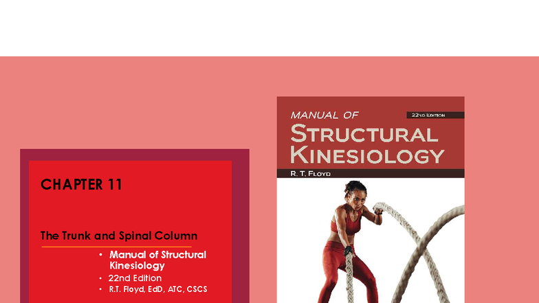 CHAPTER 11: The Trunk and Spinal Column - Structural Kinesiology Notes ...