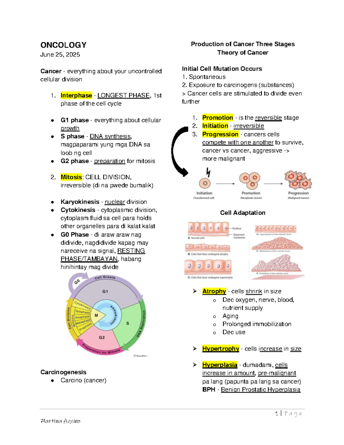 ONCO 101: Comprehensive Notes on Cancer Biology and Treatment - Studocu