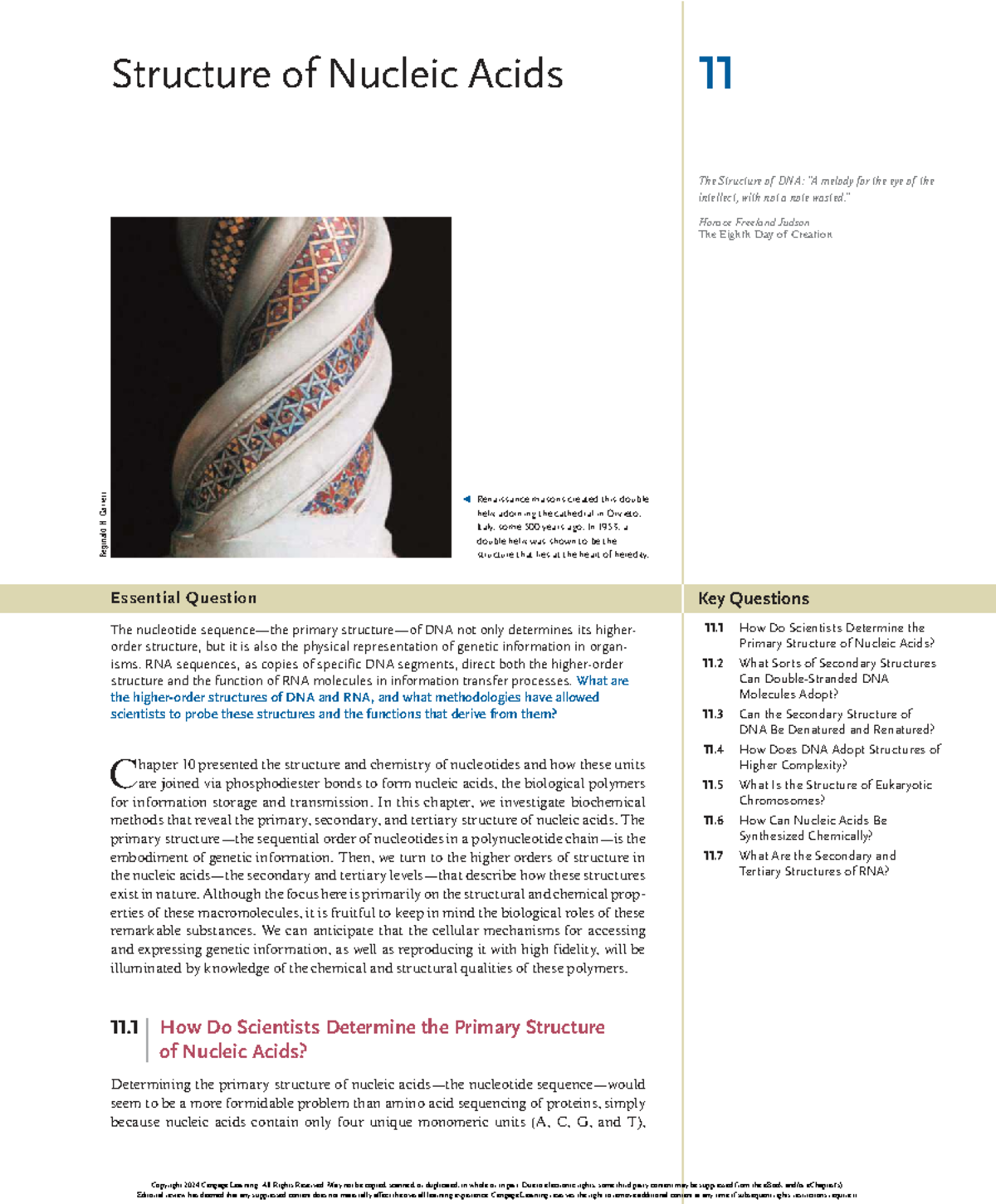 Biochemistry 7: Structure & Chemistry of Nucleotides and Nucleic Acids ...