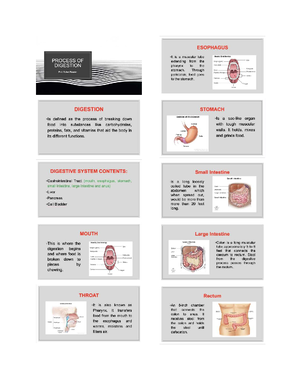 NGT - Uses and Procedures for Nasogastric Tube Feeding - Studocu