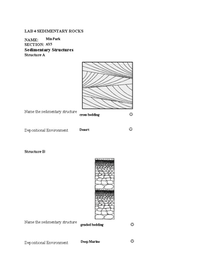 Park Min Lab 5 Metamorphic Rocks - METAMORPHIC ROCK IDENTIFICATION NAME ...