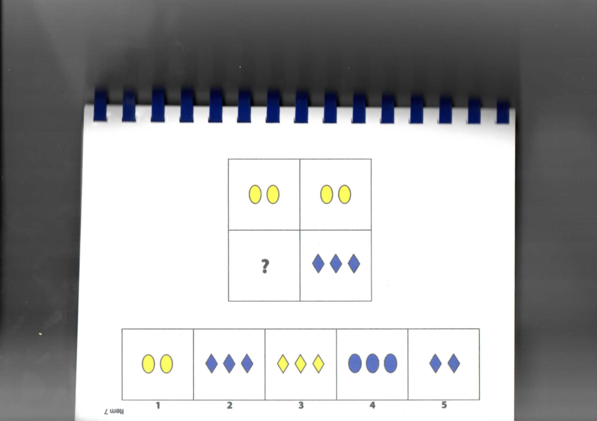 WISC V Matrices - 2DA Parte Study Notes - Studocu
