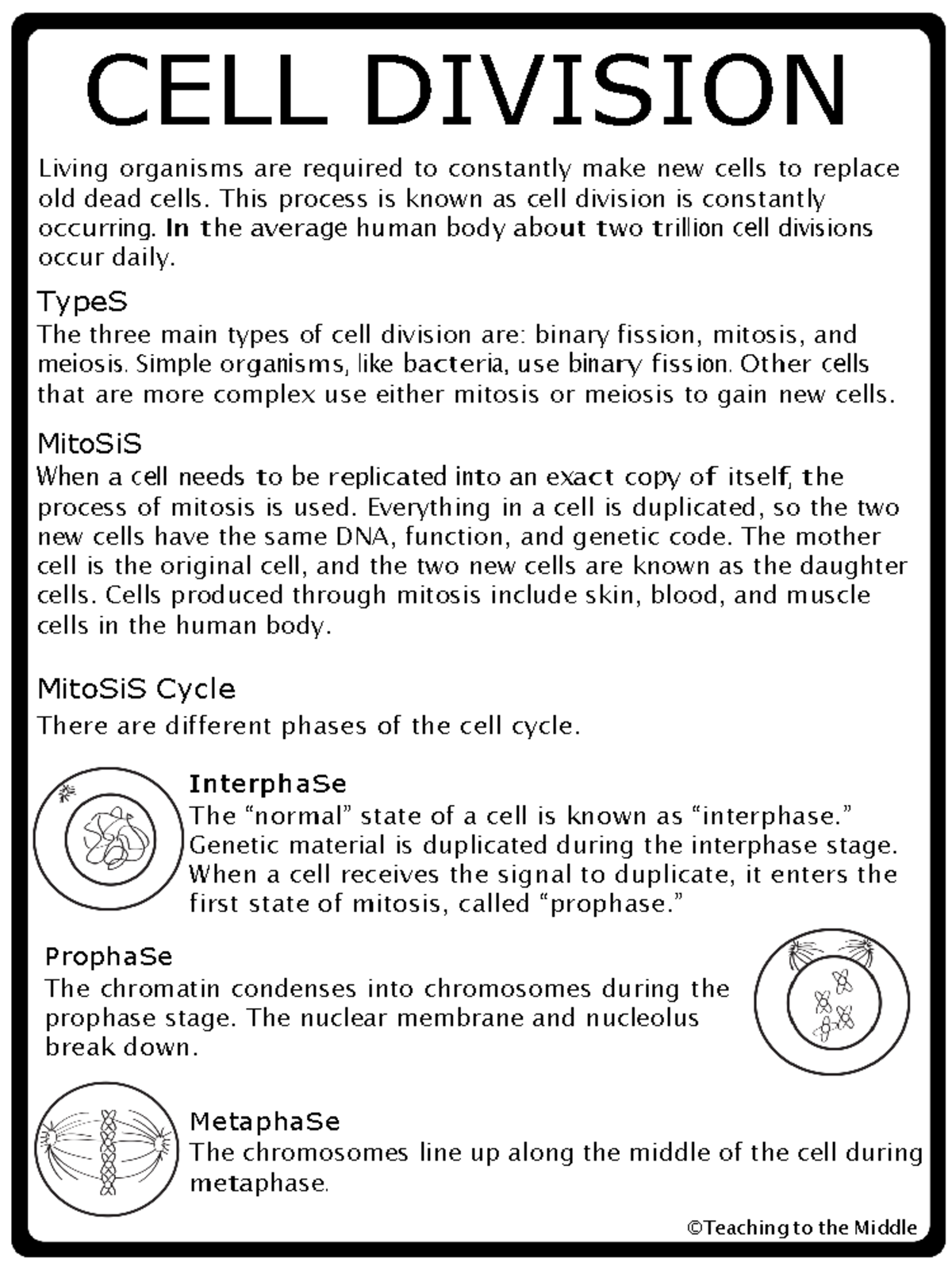 Cell Division Overview: Mitosis, Meiosis, and Binary Fission - Studocu