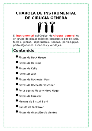 Formato Place 2022 PARA SU Llenado - PLAN DE CUIDADOS DE ENFERMERÍA ...