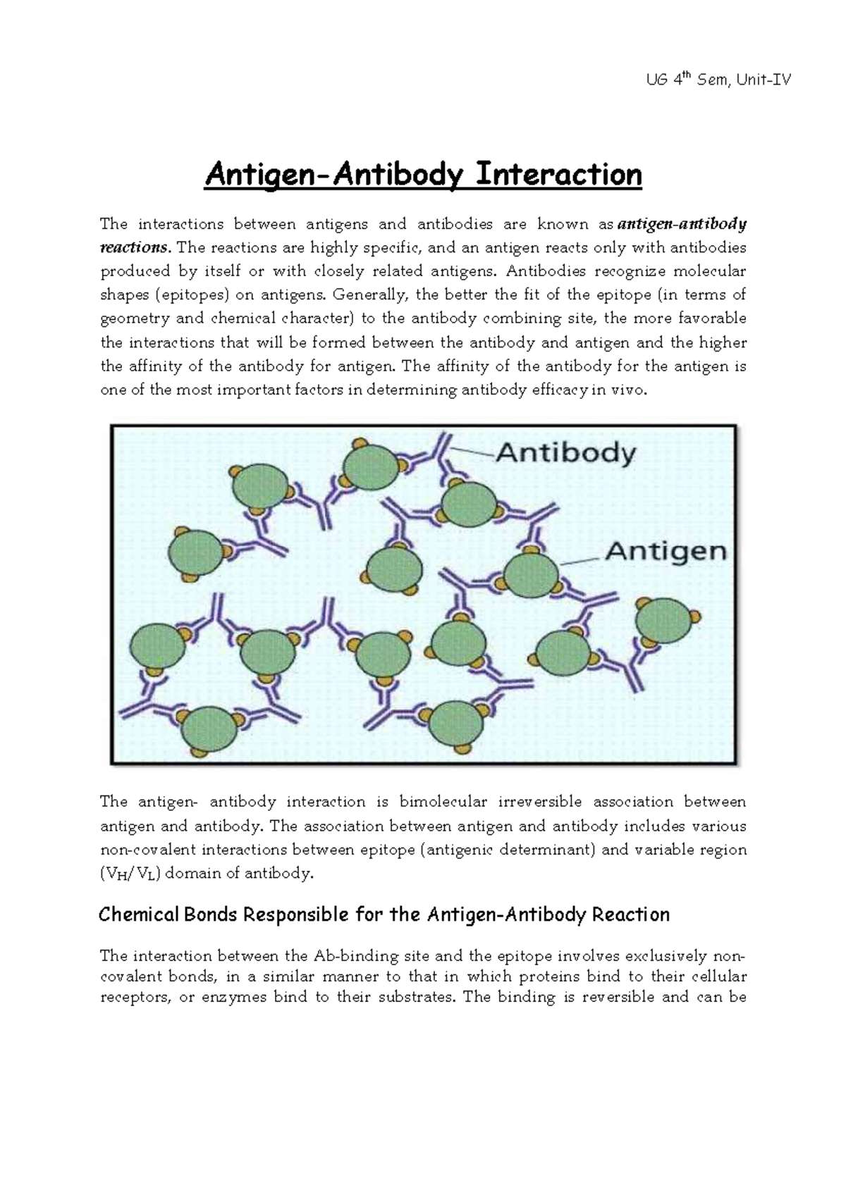 UG 4th Sem, Antigen-Antibody Interaction and Reactions Explained - Studocu