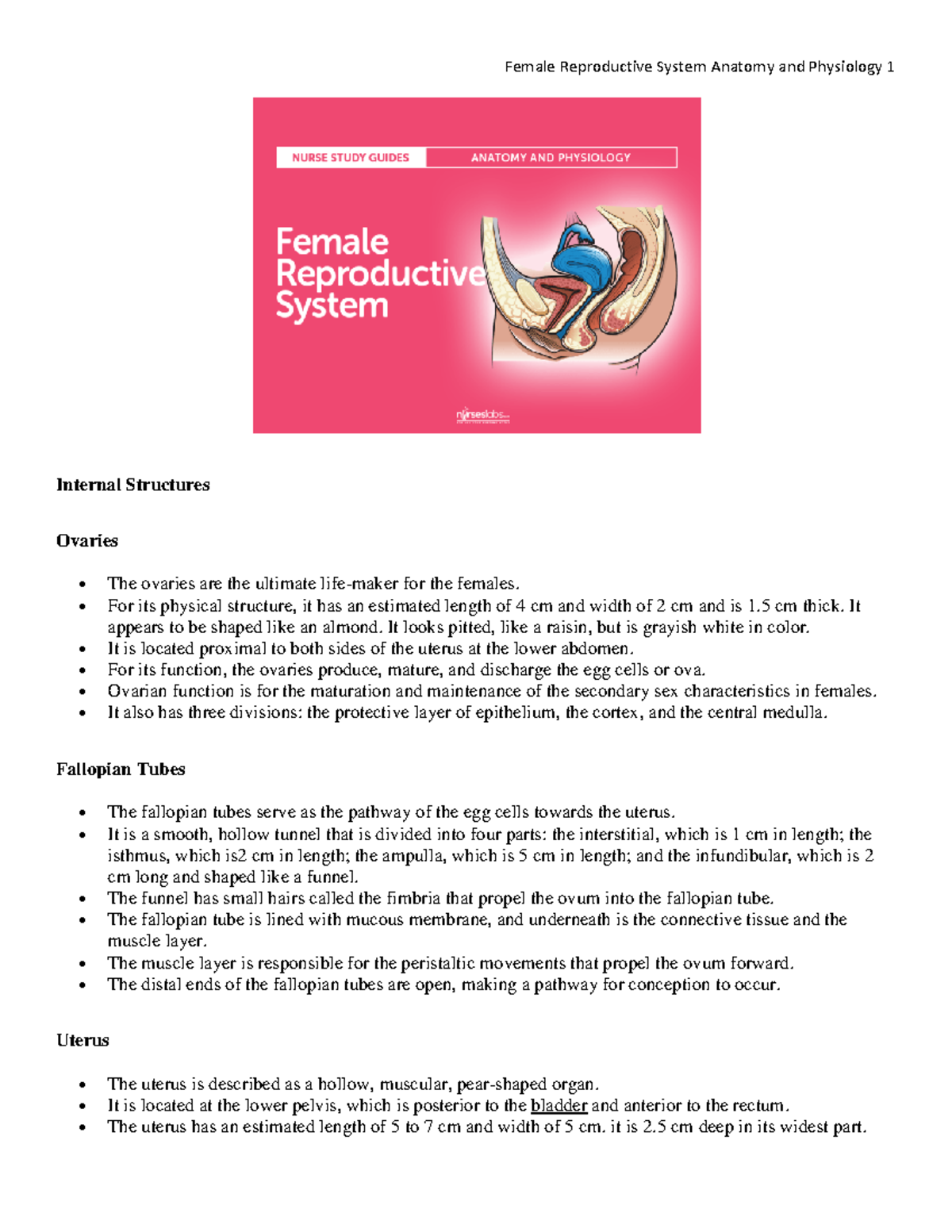Nurseslabs~Detailed Overview of Female Reproductive System Anatomy - Studocu
