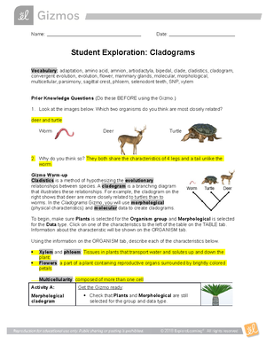 1.01 Exploring Life Lab Report: Effects of Fertilizers on Plant Growth ...