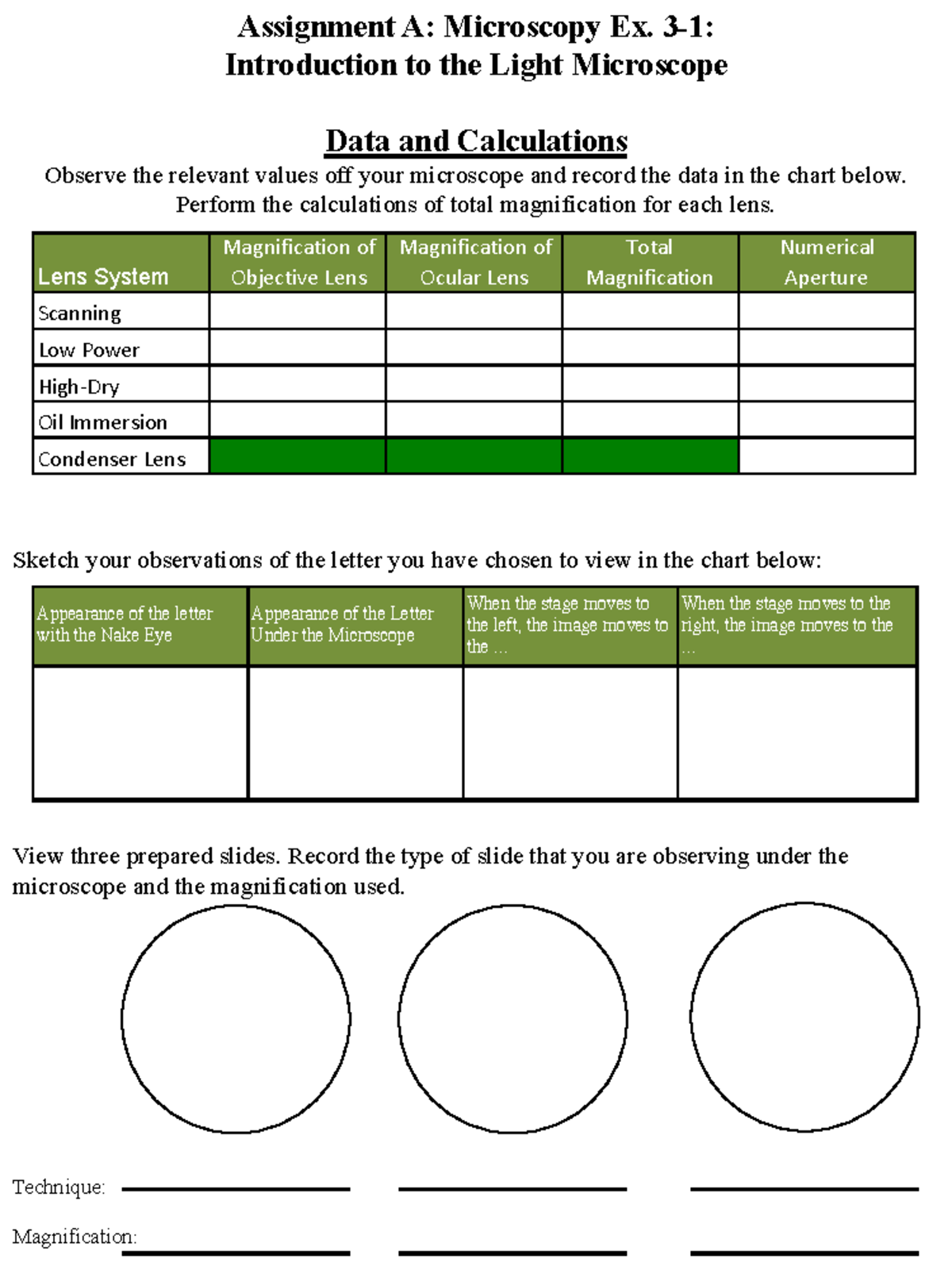 Assignment A: Microscopy Lab - Light Microscope Data & Calculations ...