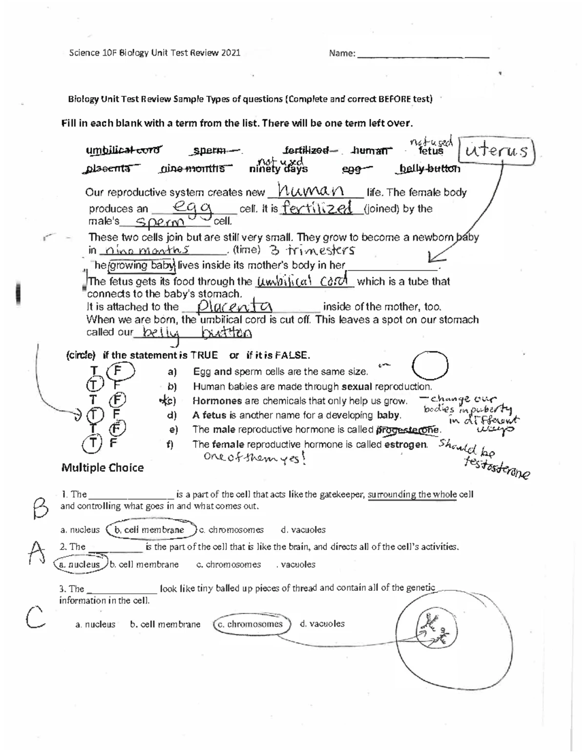 10F Science Biology Unit Test Review (FULL BIO COURSE) - B A C ...