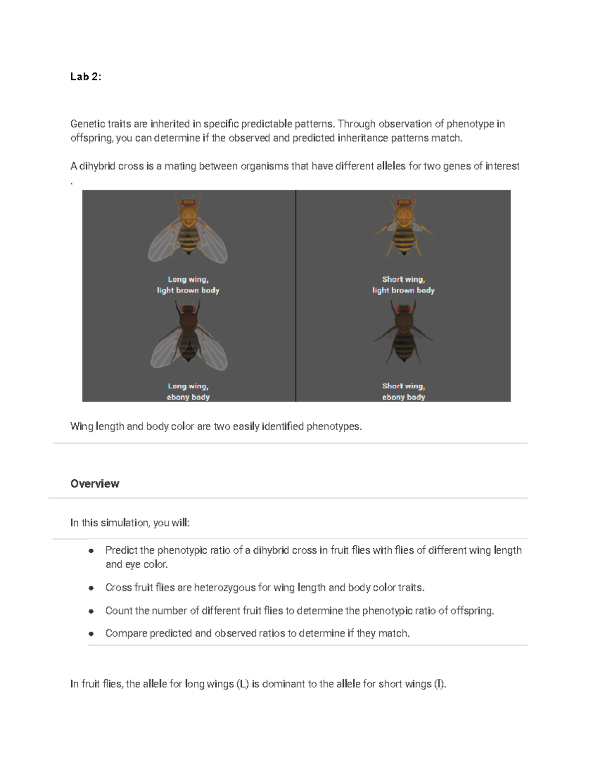 Genetics Lab 2: Dihybrid Cross Prediction and Observations - Studocu