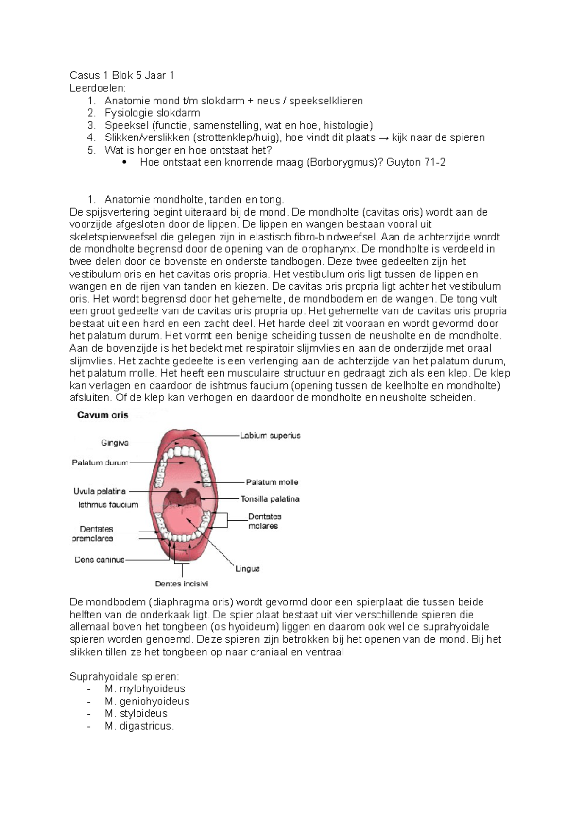 Casus 1 blok 5 jaar 1: Anatomie en fysiologie van de mond en slokdarm ...