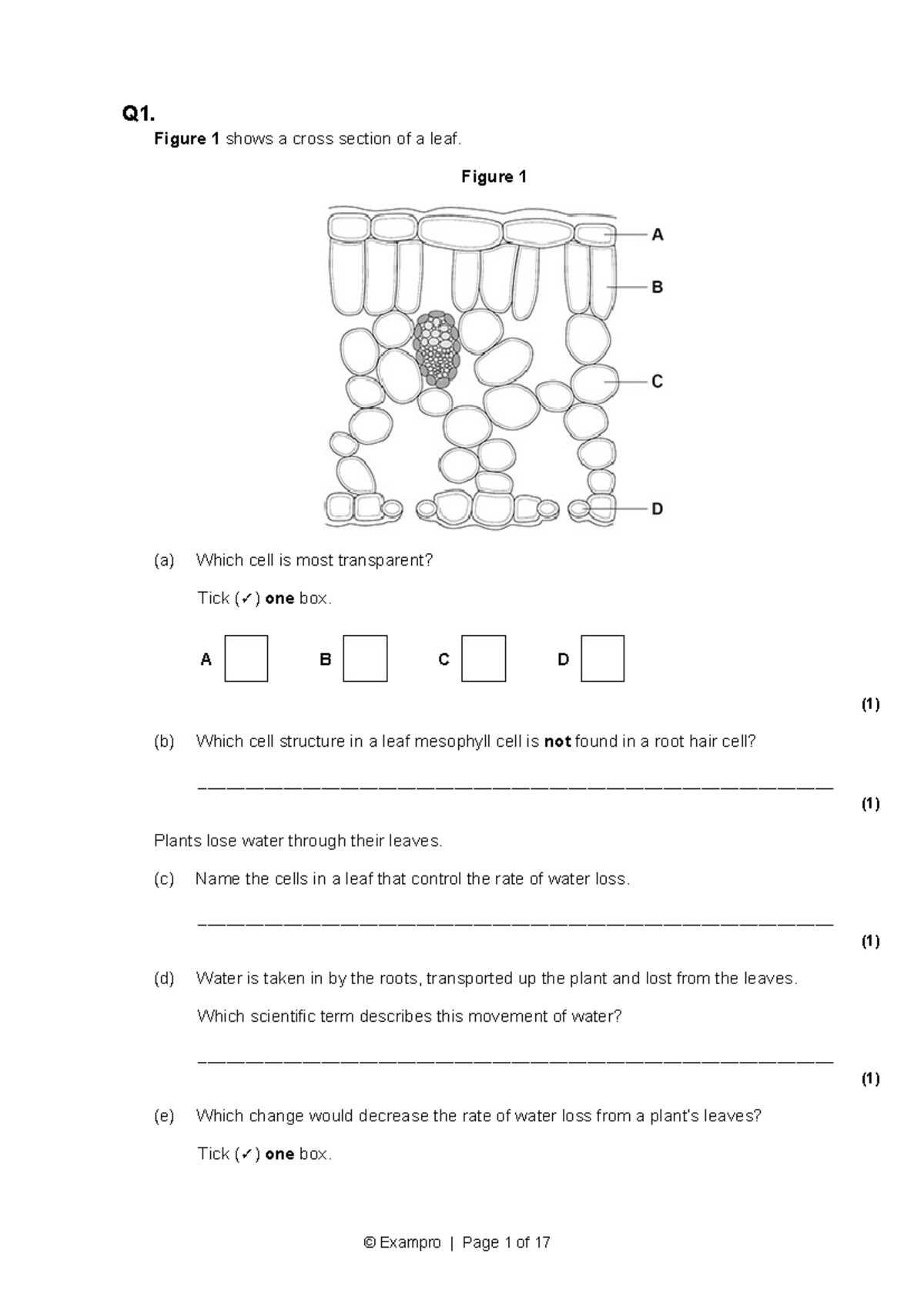 Biology 101: Plant Structure and Function Practice Questions - Studocu