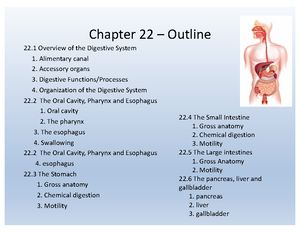 Mastering biology ch1,2,3 Flashcards Quizlet - mastering biology ch1,2 ...