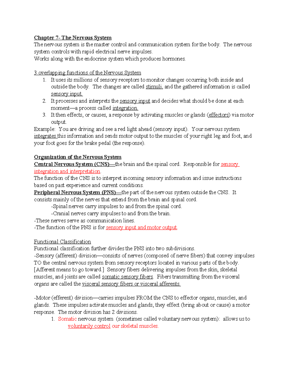 Nervous System Overview: Structure, Function, and Neuron Physiology ...