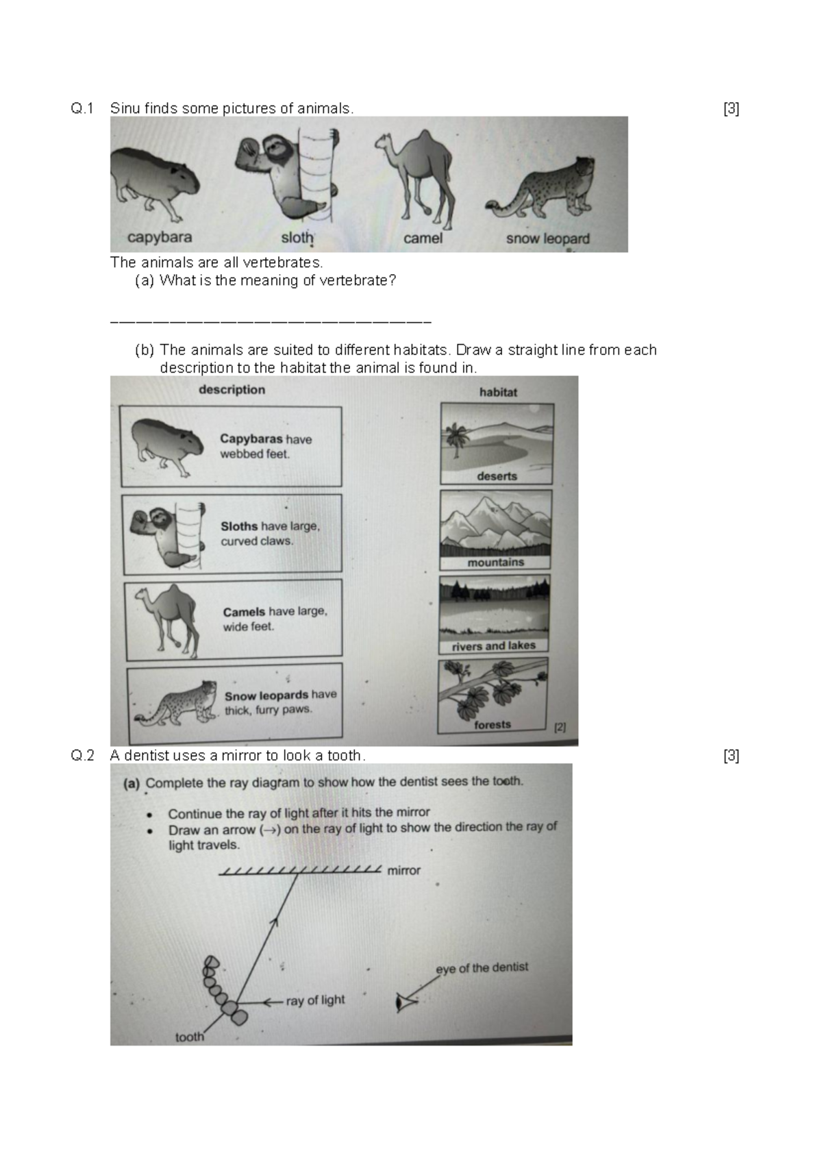 Practice Paper 2: Vertebrates, Energy Transfer & Earthquake Layers ...