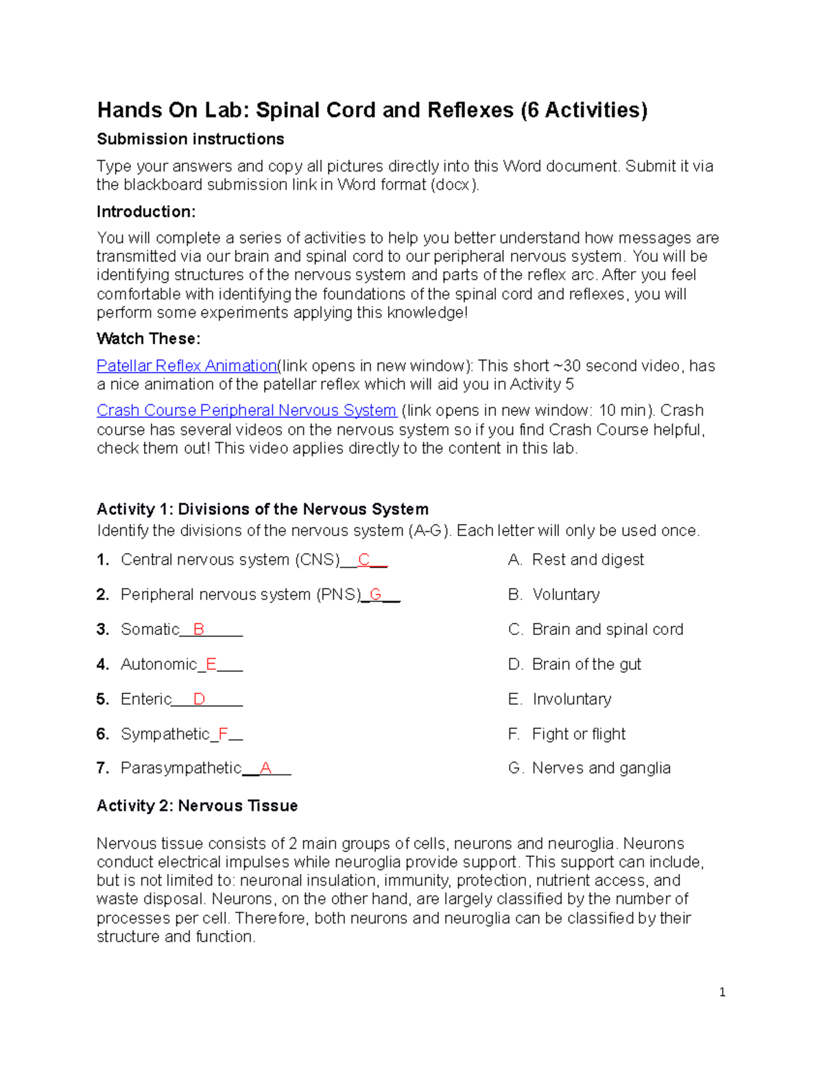 Lab7 Spine Reflex - Hands On Lab: Spinal Cord and Reflexes (6 ...