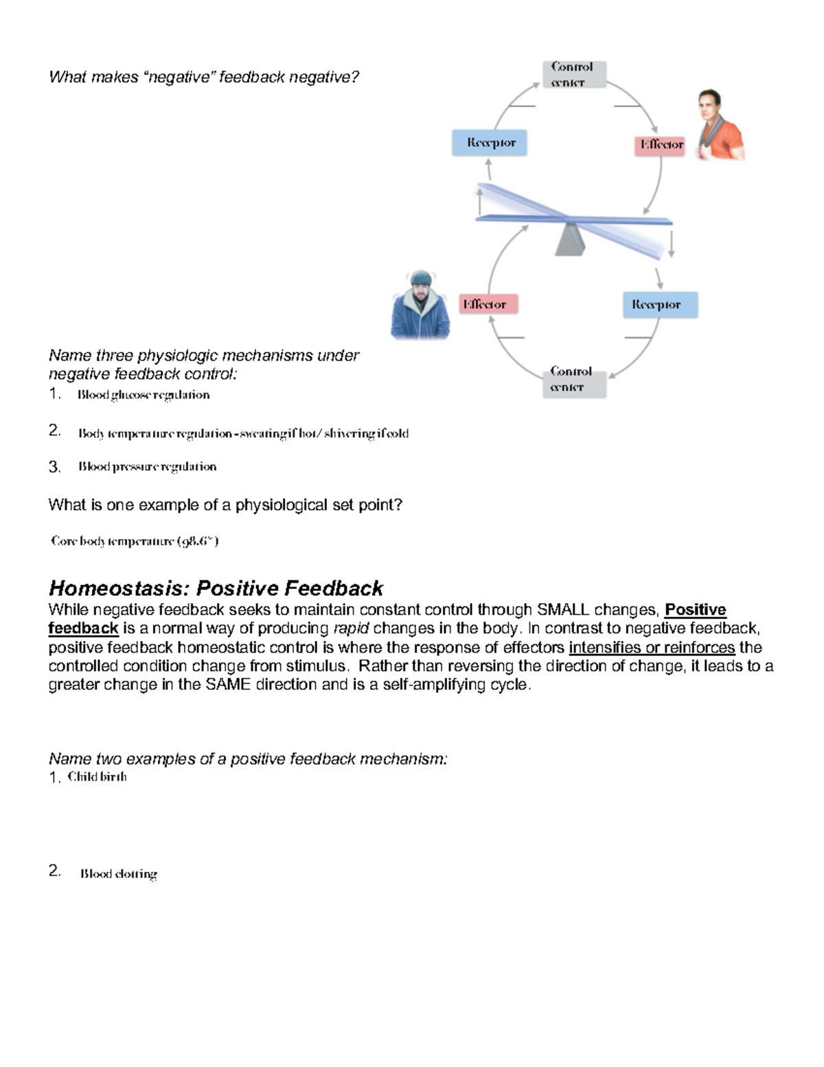 Biological Feedback Mechanisms: Negative & Positive Feedback Types ...