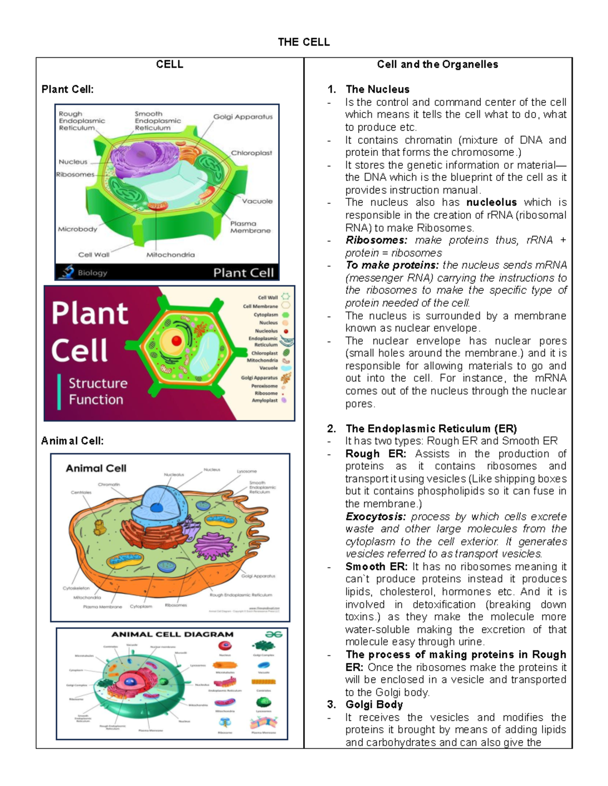 Cell Study Compilation: YouTube Videos & Lecture Notes on Cell ...