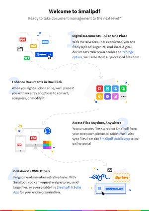 318545207-Ricef-Document - RICEFW's in SAP projects and role of ...