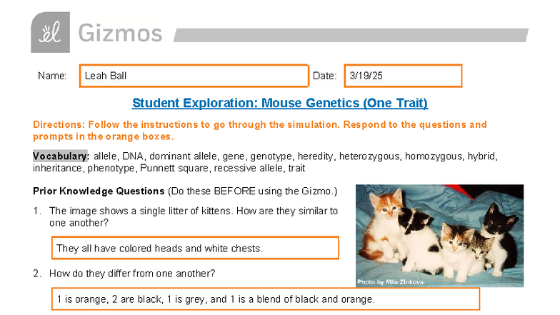 Mouse Genetics SE: Exploring Inheritance Patterns in Mice - Studocu