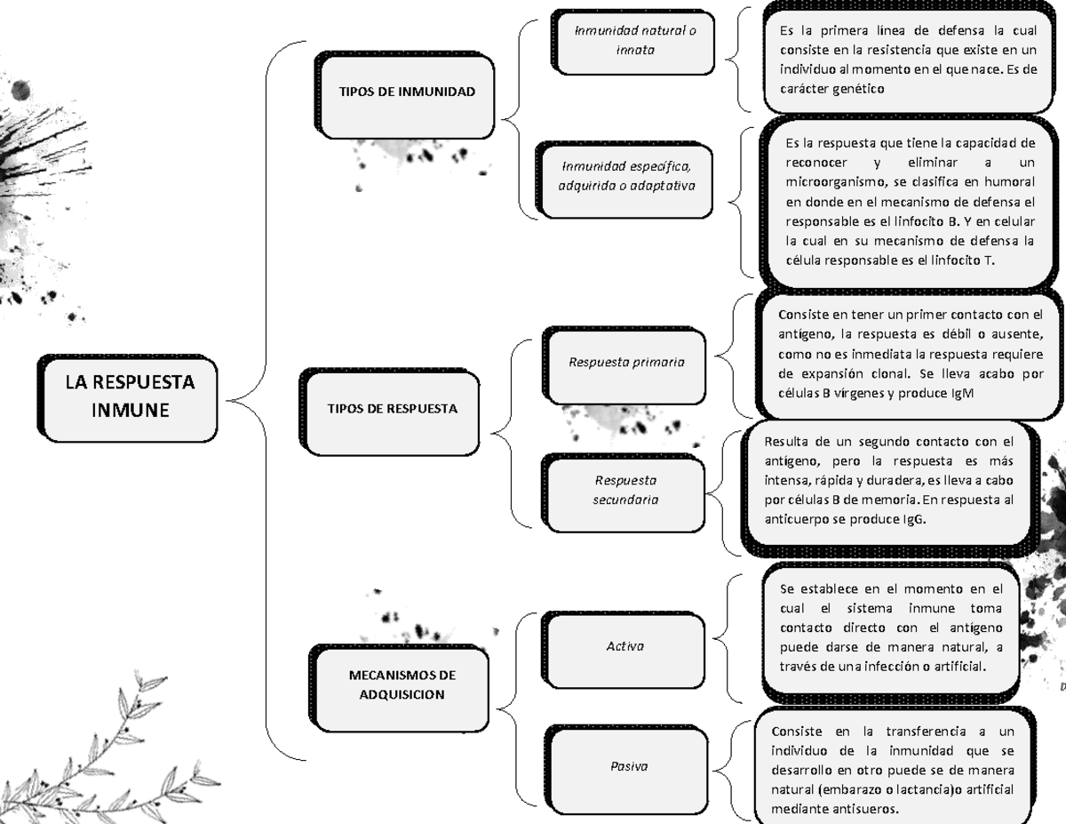 Cuadro Sinóptico sobre la Respuesta Inmune y Tipos de Inmunidad - Studocu