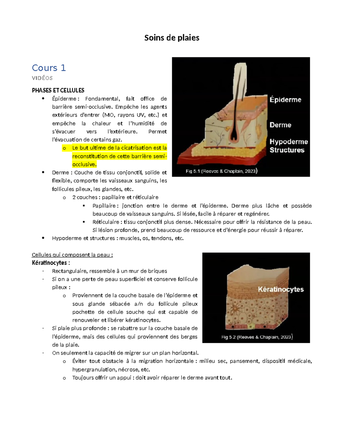 Soins de plaies - Cours 1 : Phases, Cellules et Évaluation - Studocu