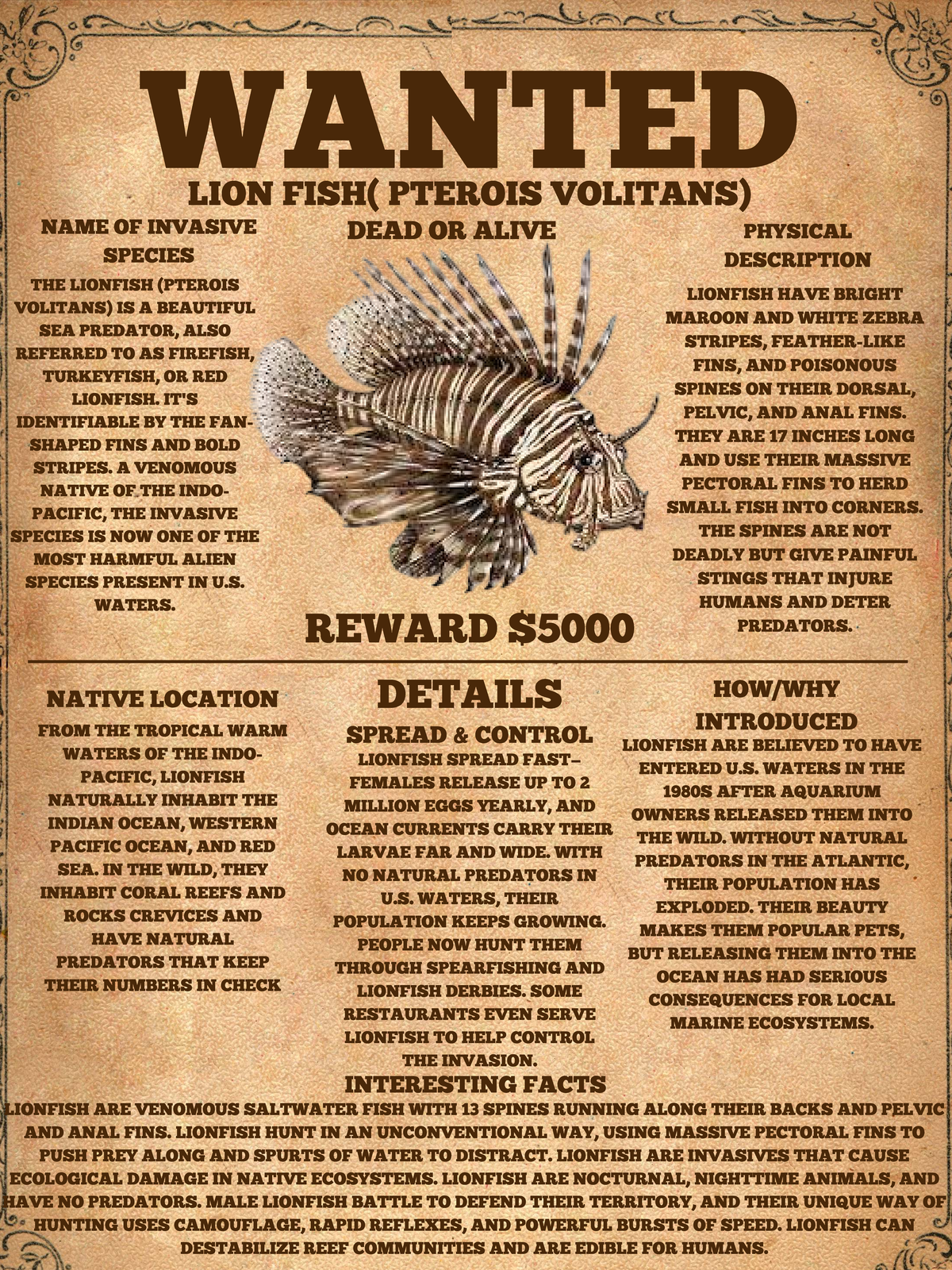 Invasive Species Study: Lionfish (Pterois volitans) Overview - Studocu