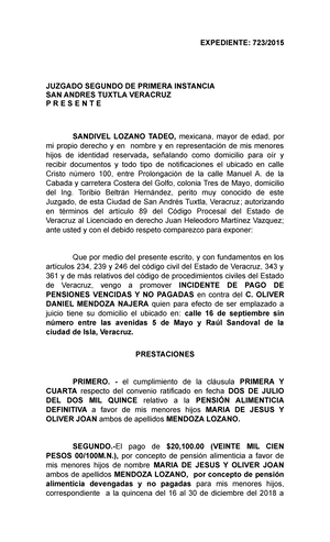 Ejemplos De Promoción Aclaración De Vista Incidente Y Apelación