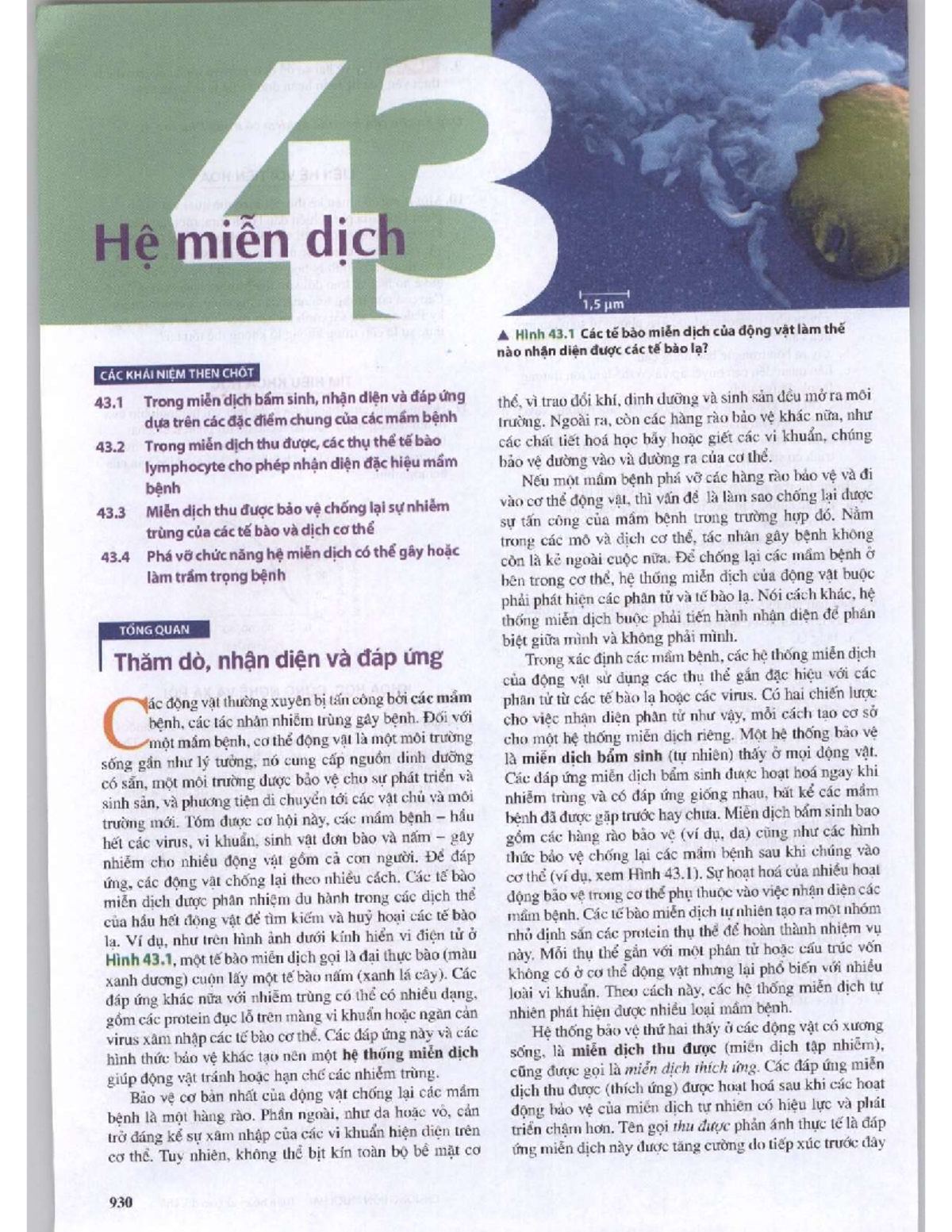 CAC 43.1 Khai Niệm và Đáp Ứng Miễn Dịch Trong Động Vật - Studocu