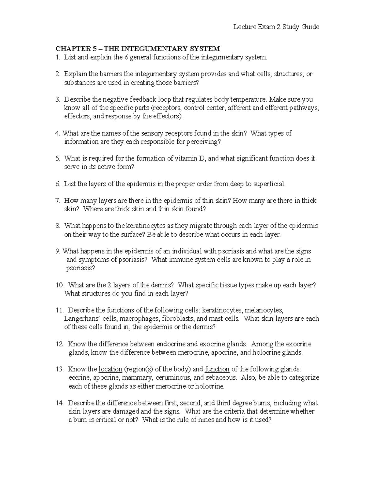 Anatomy and Physiology Lecture 2 Exam Study Guide - Lecture Exam 2 Study Guide CHAPTER 5 – THE ...