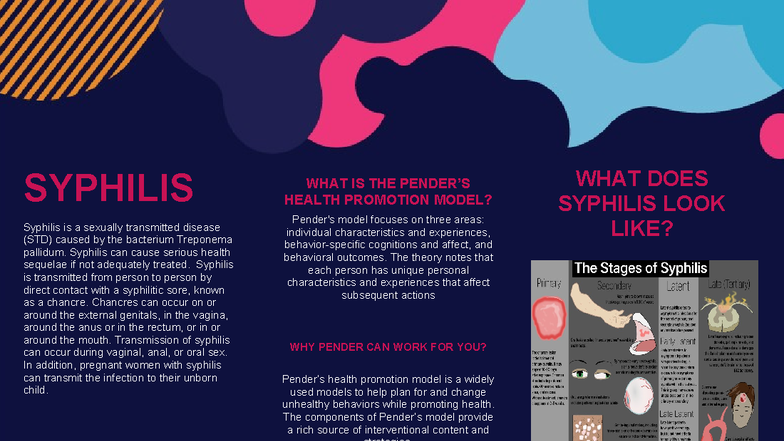 SYPH 101: Health Promotion & Syphilis Awareness Brochure - Studocu