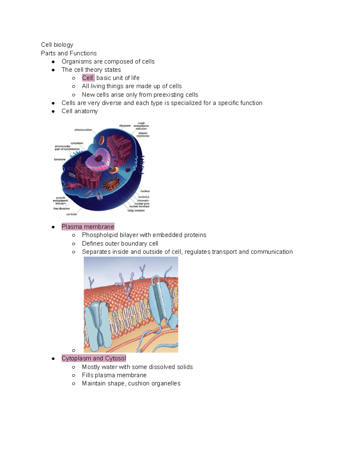 BIOL 101: Cell Biology Overview - Parts, Functions, and Division - Studocu
