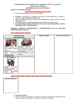 Plantas, partes, funciones y clasificación - Séptimo “B” Integrantes ...