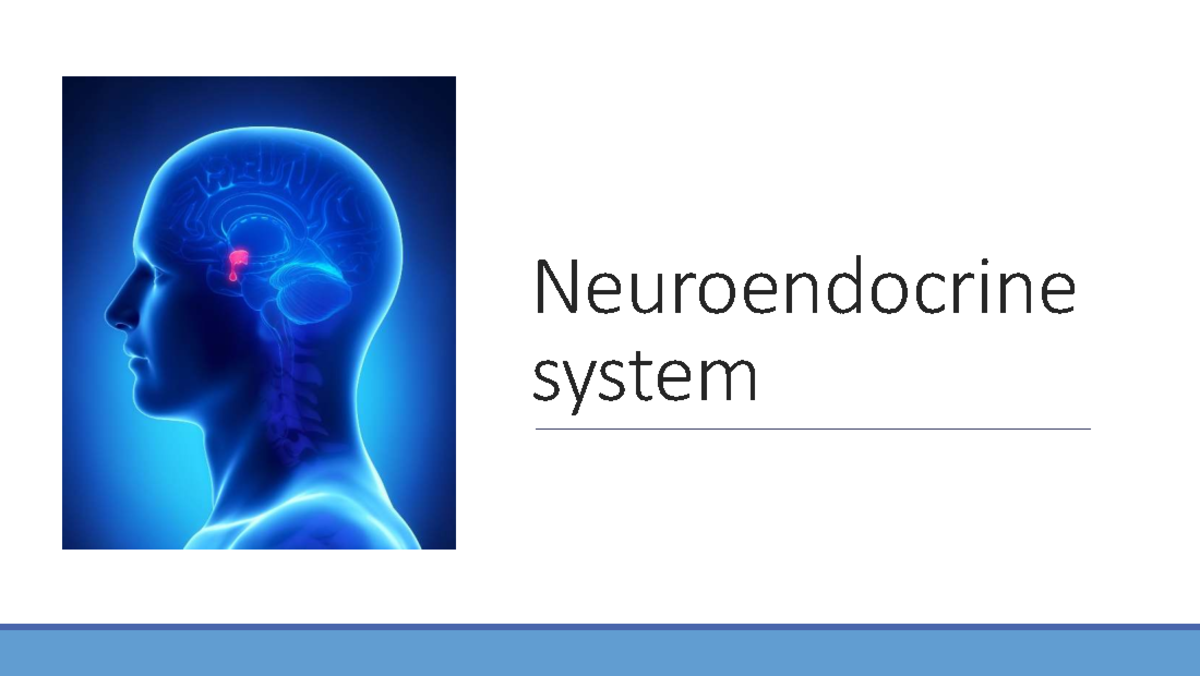 Neuroendocrine System Overview and Signaling Mechanisms - Studocu