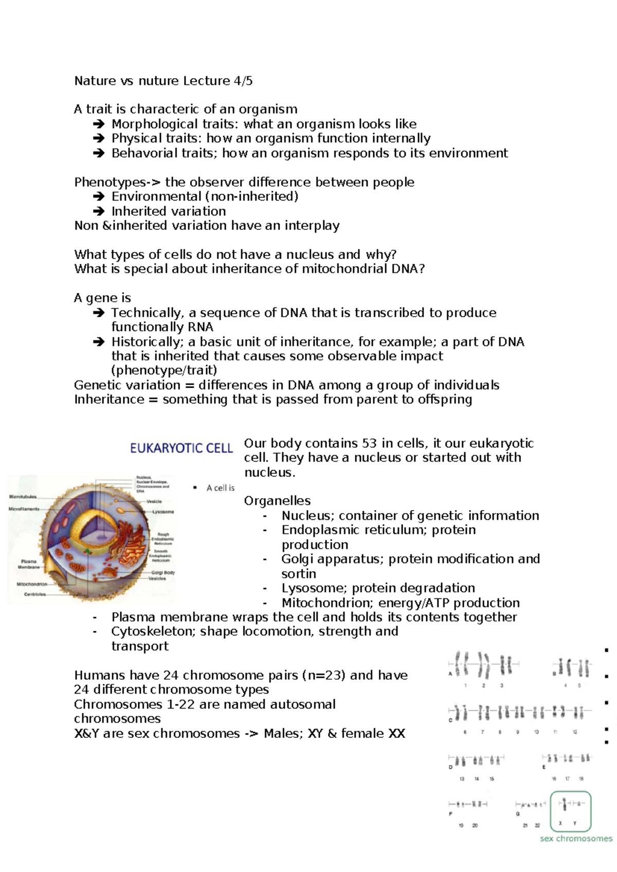 Nature vs Nurture Lecture 4:5 - Understanding DNA and Genetic Variation ...