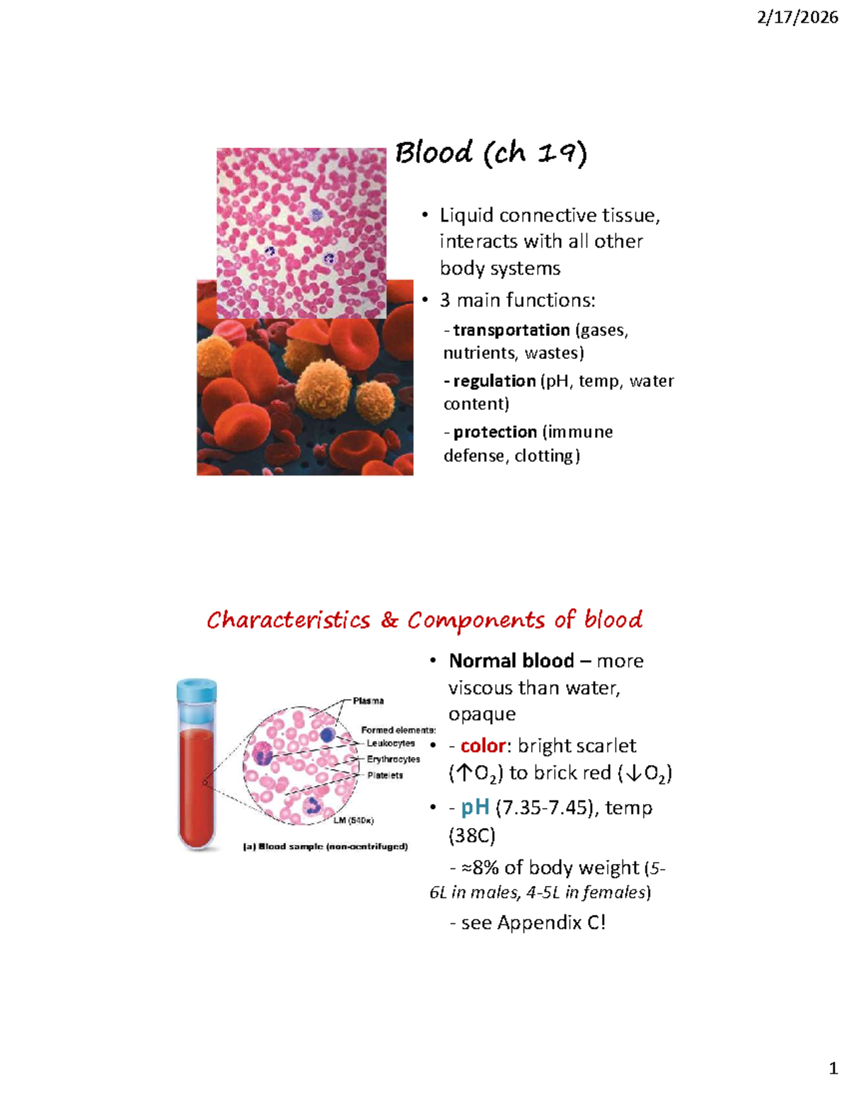 Blood (Ch 19 Spring) Lecture Notes: Functions, Components, and ...