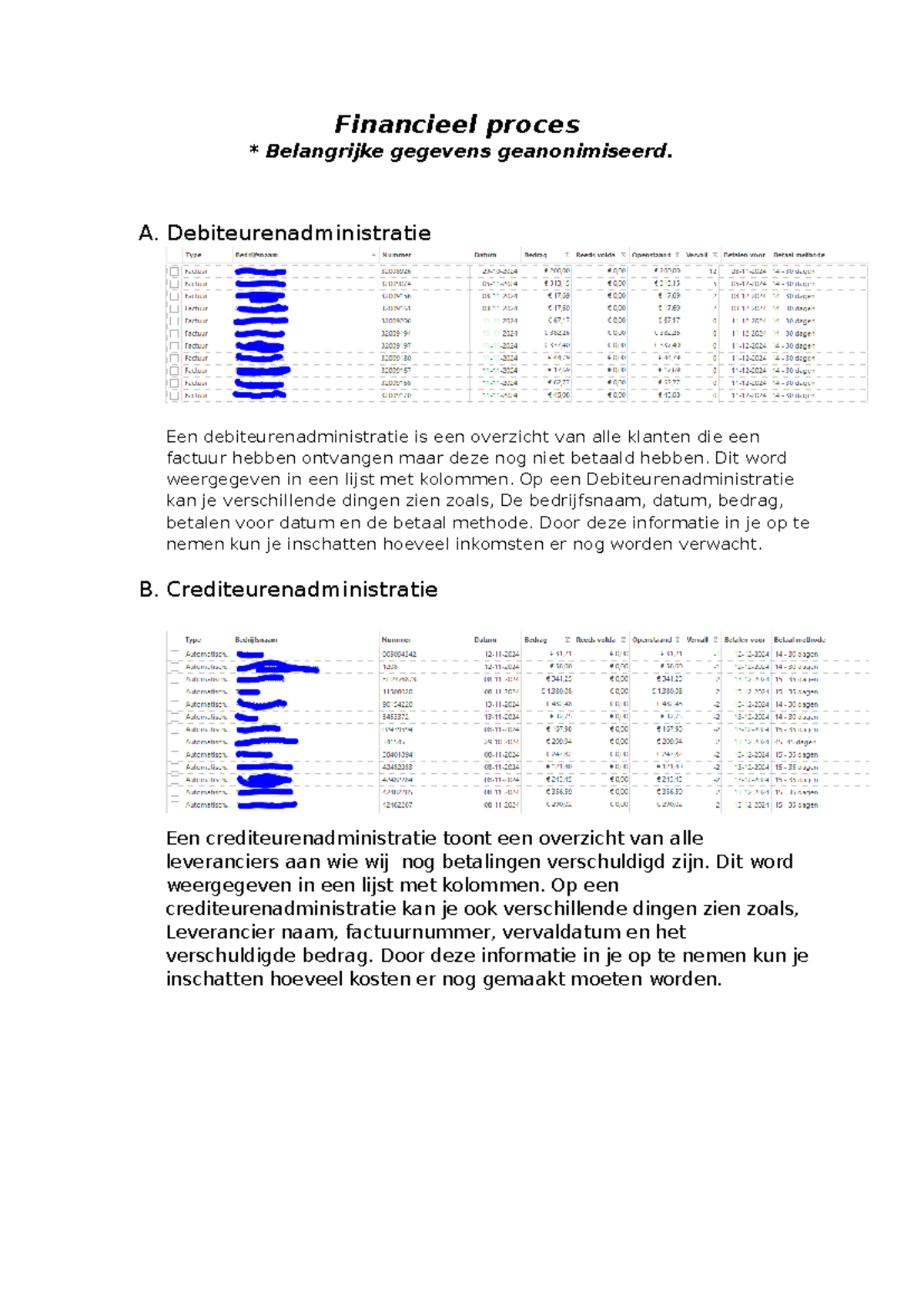 Ondernemer handel - Stage opdracht Financieel proces - Financieel ...