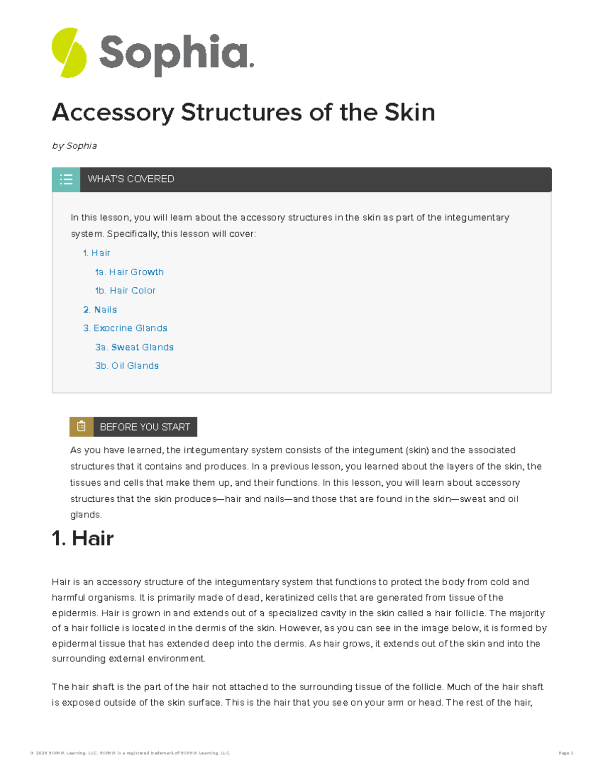 Accessory Structures of the Skin: Integumentary System Overview 2025 ...