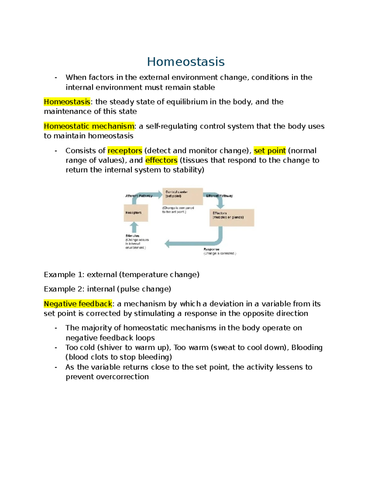 Homeostasis: Mechanisms and Feedback Loops Explained - Studocu