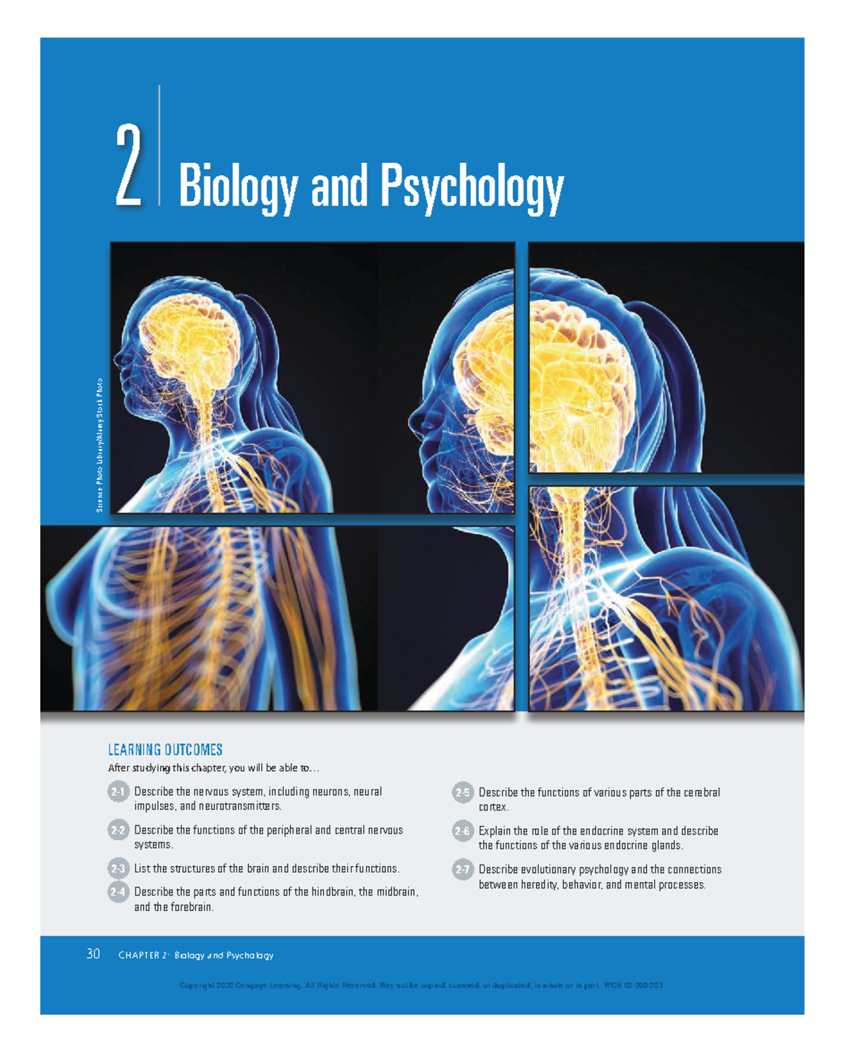 Biology and Psychology 101: Understanding the Nervous System and ...