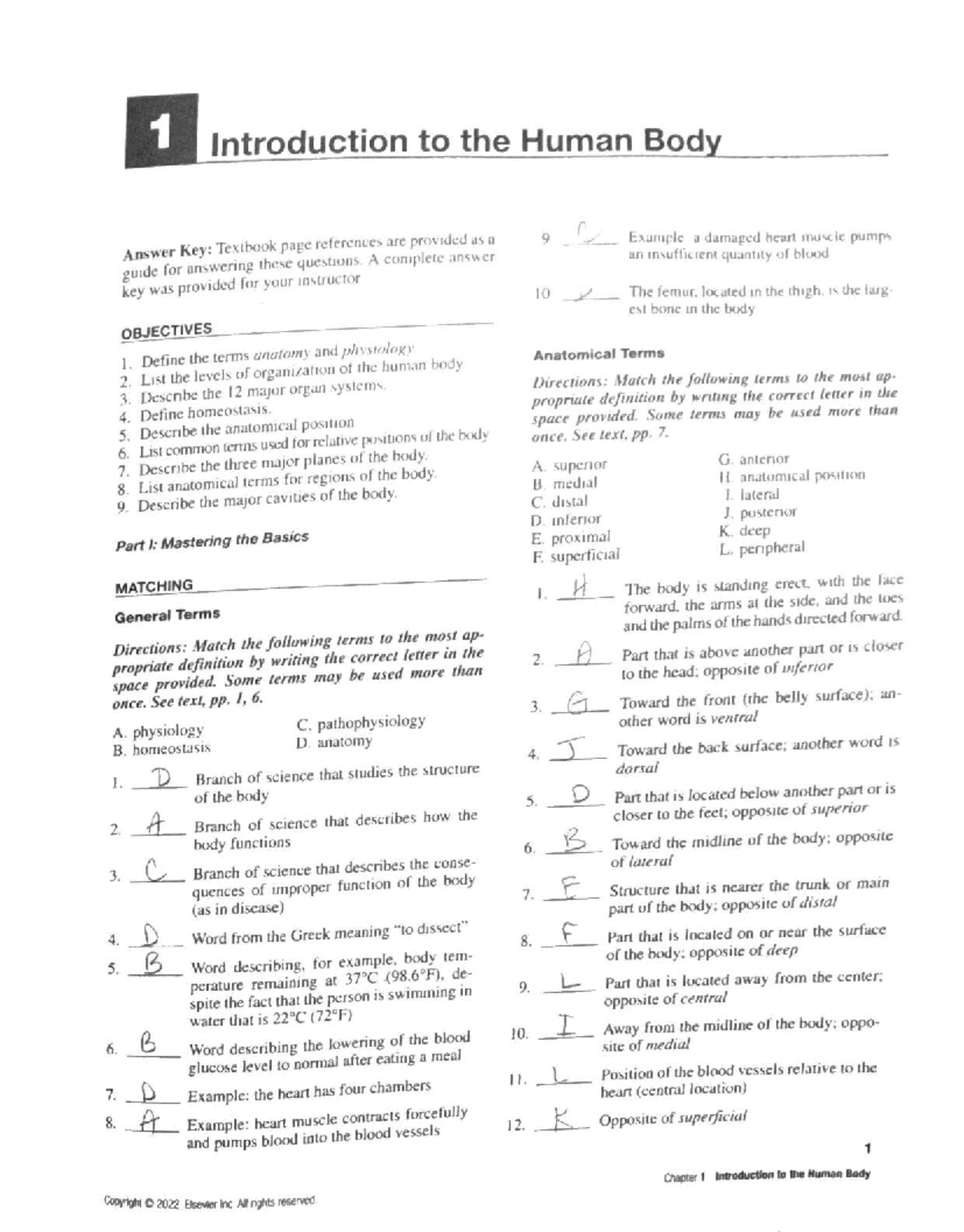 Intro 1: Human Body Overview & Answer Key for Anatomy Concepts - Studocu