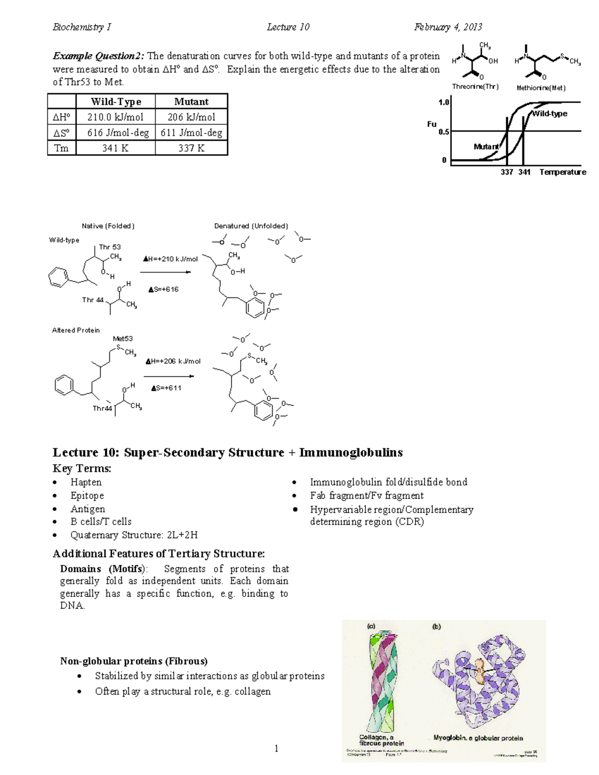 Biochemistry I Lecture 10: Protein Structure & Antibody Function - Studocu