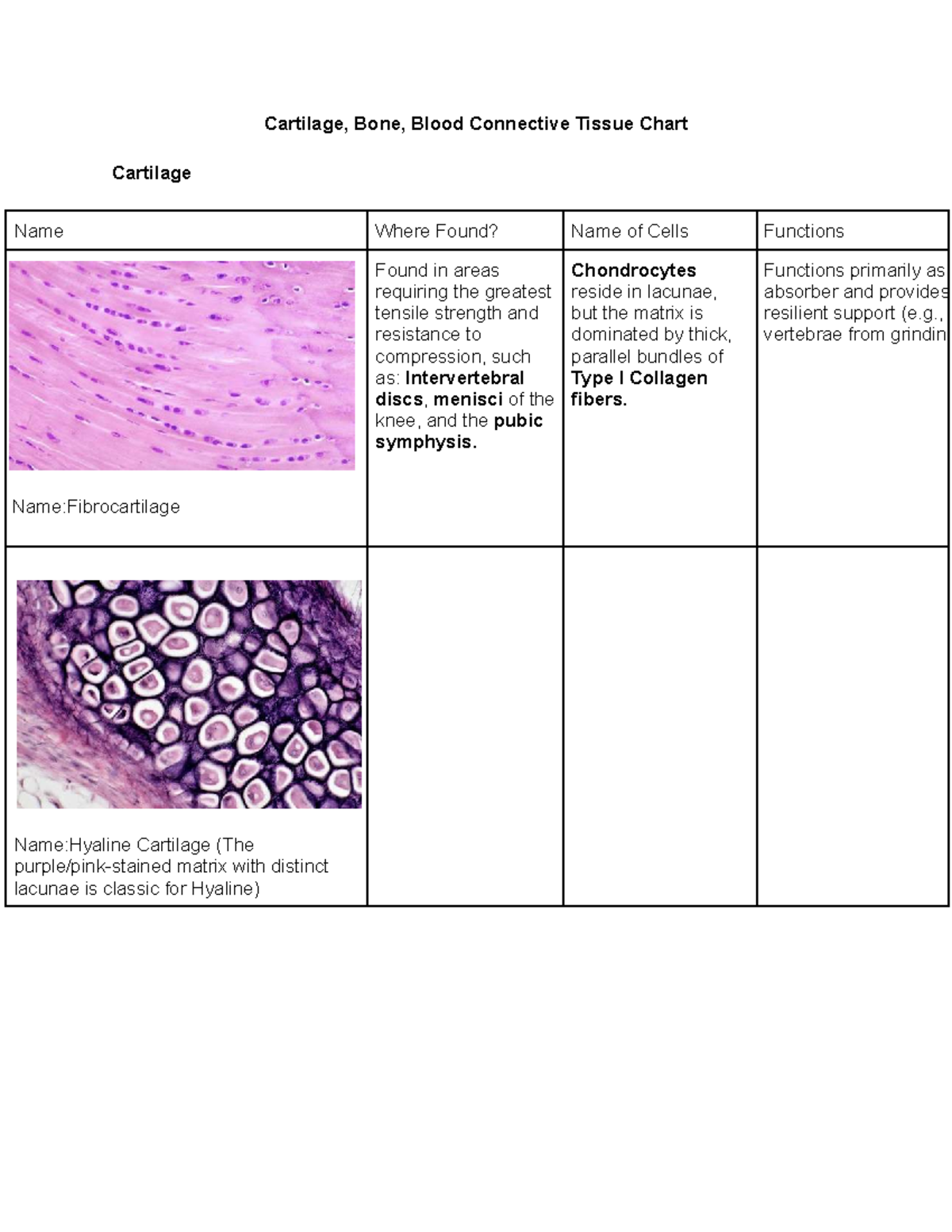Cartilage, Bone, and Blood Connective Tissue Chart Overview - Cartilage ...
